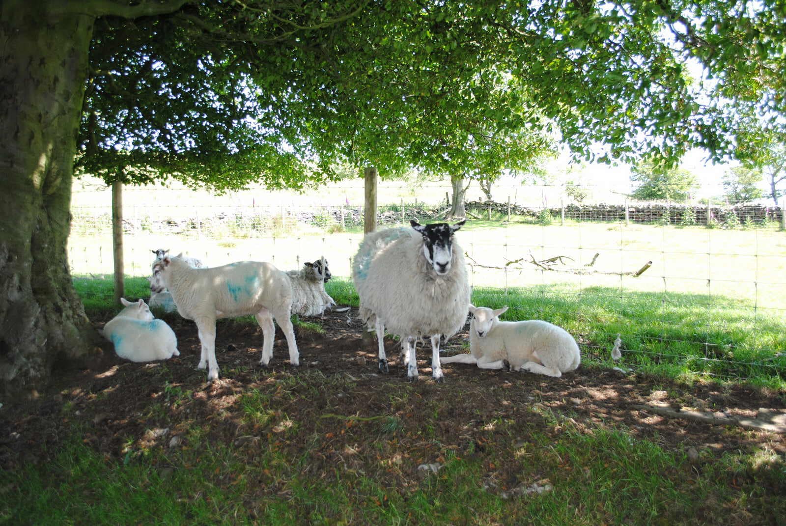 Brambles Farm Holidays Peak District National Park Leek Staffordshire