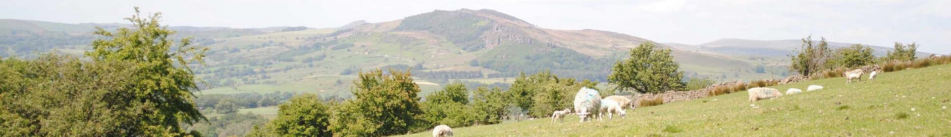 Accommodations - Brambles Farm Holidays Peak District